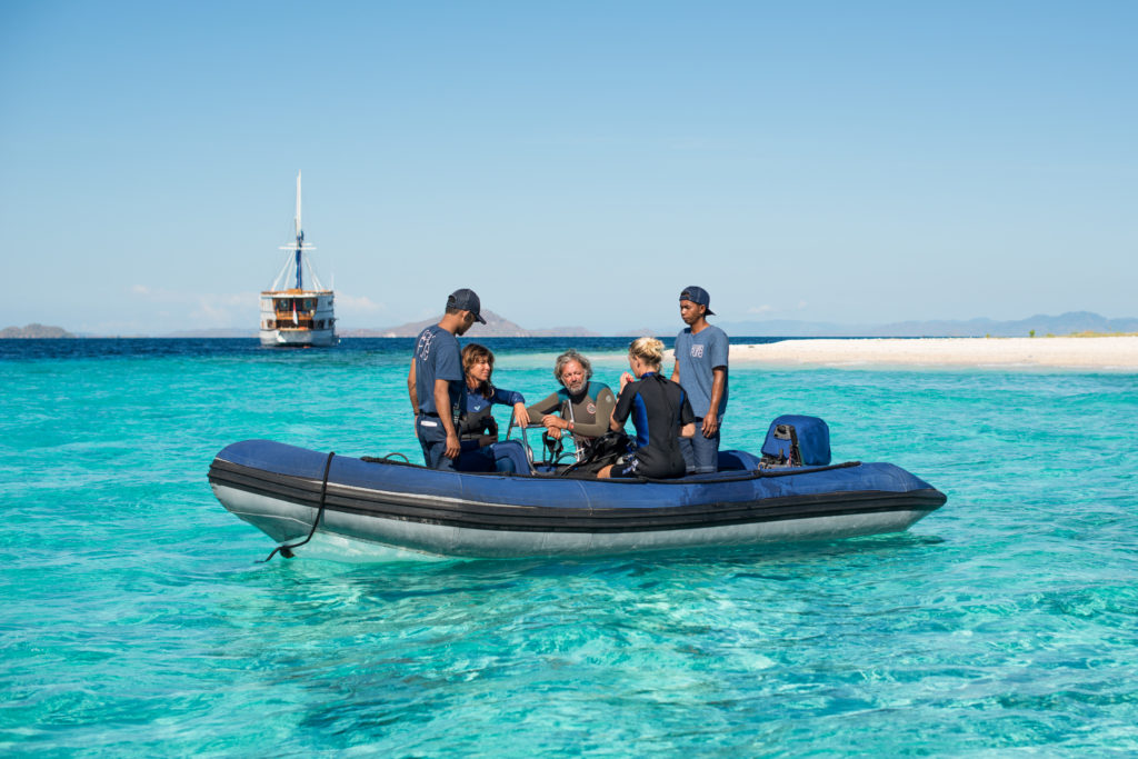 Ocean Pure - Pirates' Bay Cruising